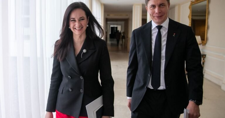 Inga Ruginienė grįžta: ar vėl taps Socialinės apsaugos ir darbo ...